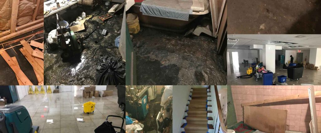 Four Steps of Mitigation Process - SOS Mitigation | 24/7 Service